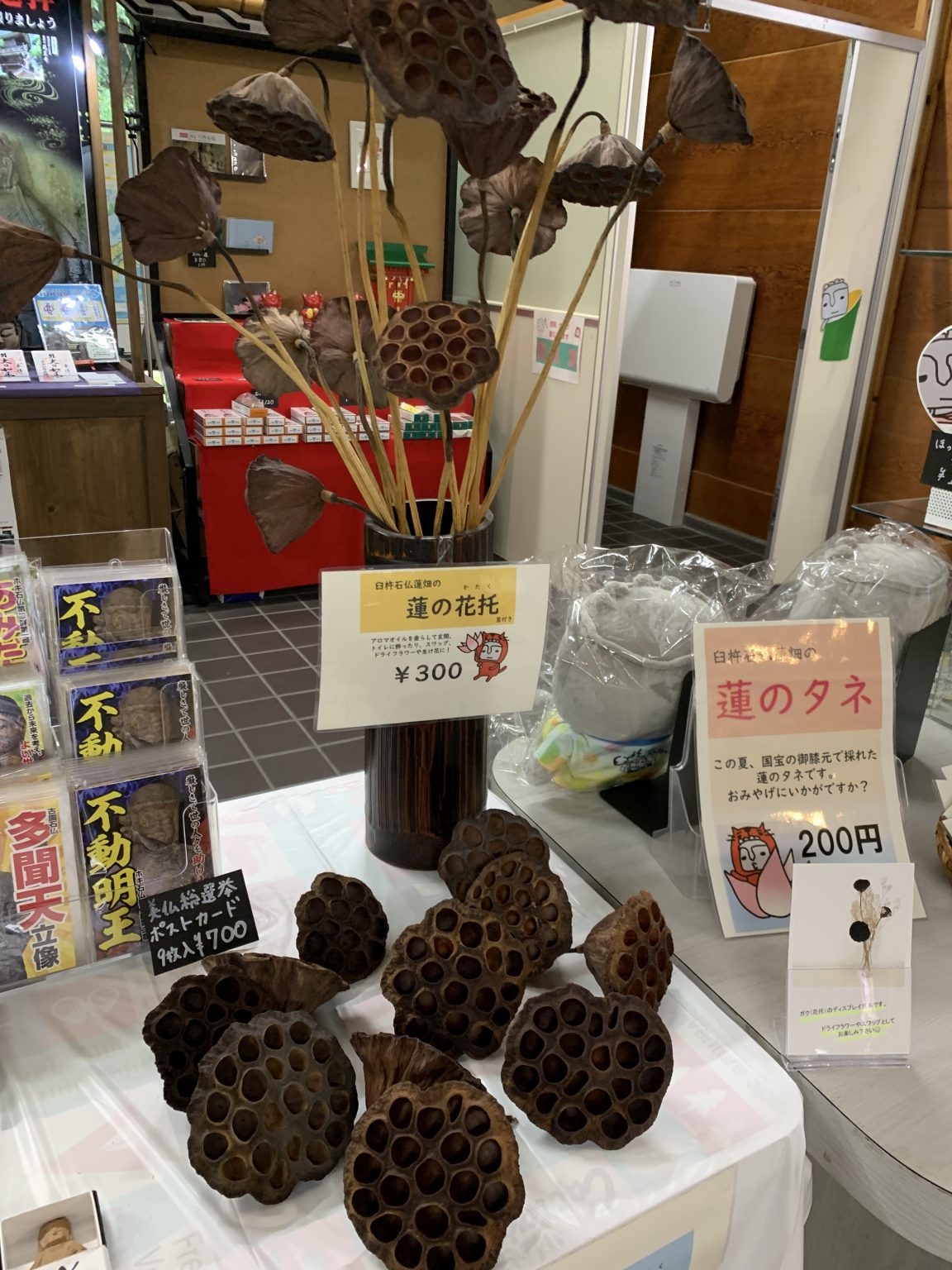 IMG_0813 | 臼杵市観光協会